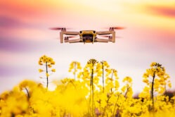 Bio-drones: conheça a tecnologia que pode ajudar a salvar o planeta ...